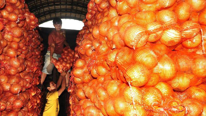 133 ton bawang bombay selundupan digagalkan masuk Semarang