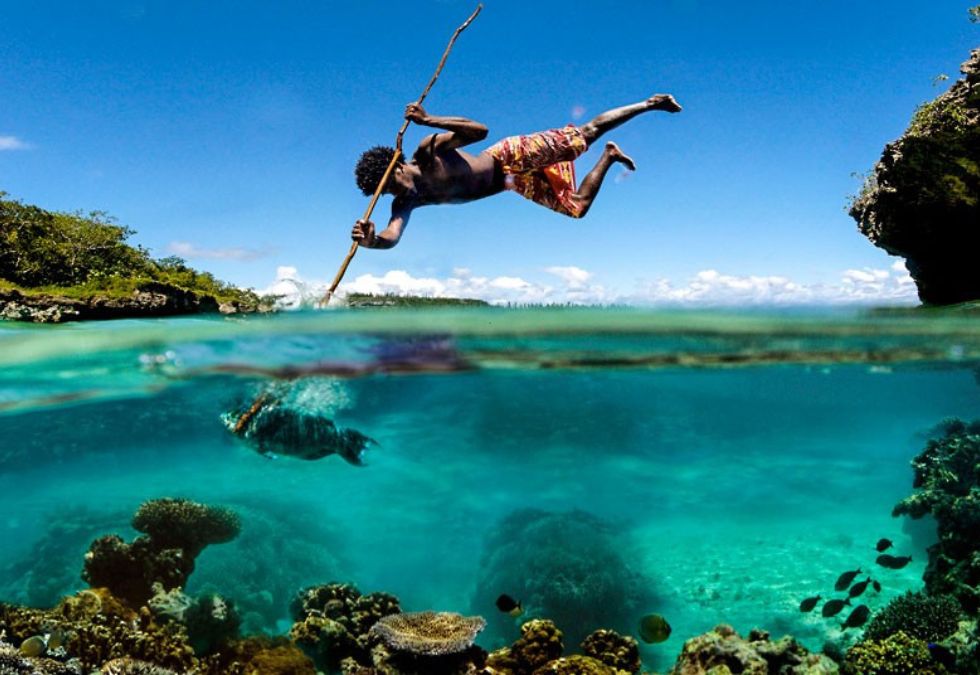 20 perfectly timed photos caught at the right moment