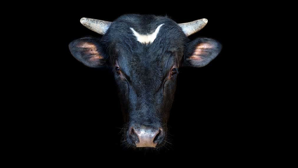 Stock market today: Dow surges 600 points after US ousts Maduro; Reddit ...