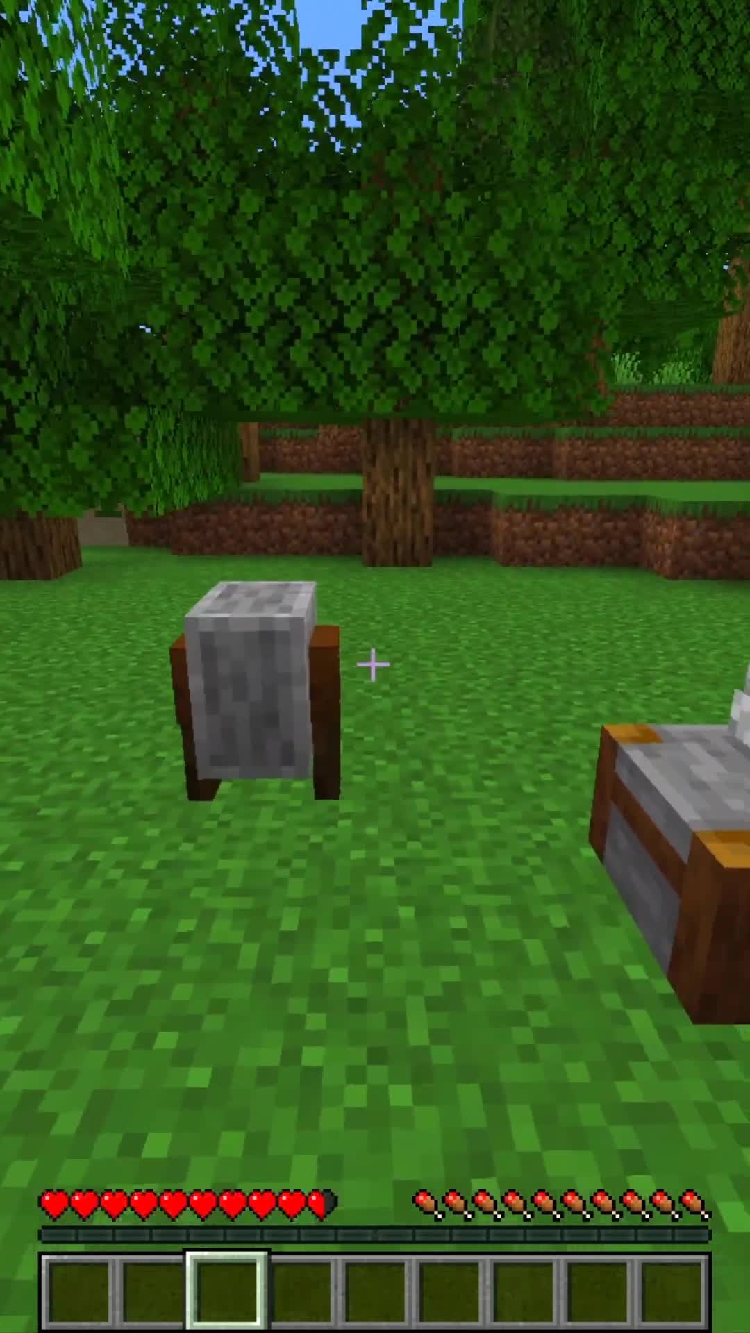 Acabo de descubrir un nuevo bloque en Minecraft