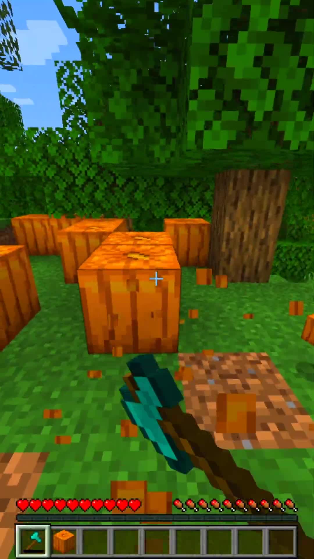 El item más desconocido de todo Minecraft