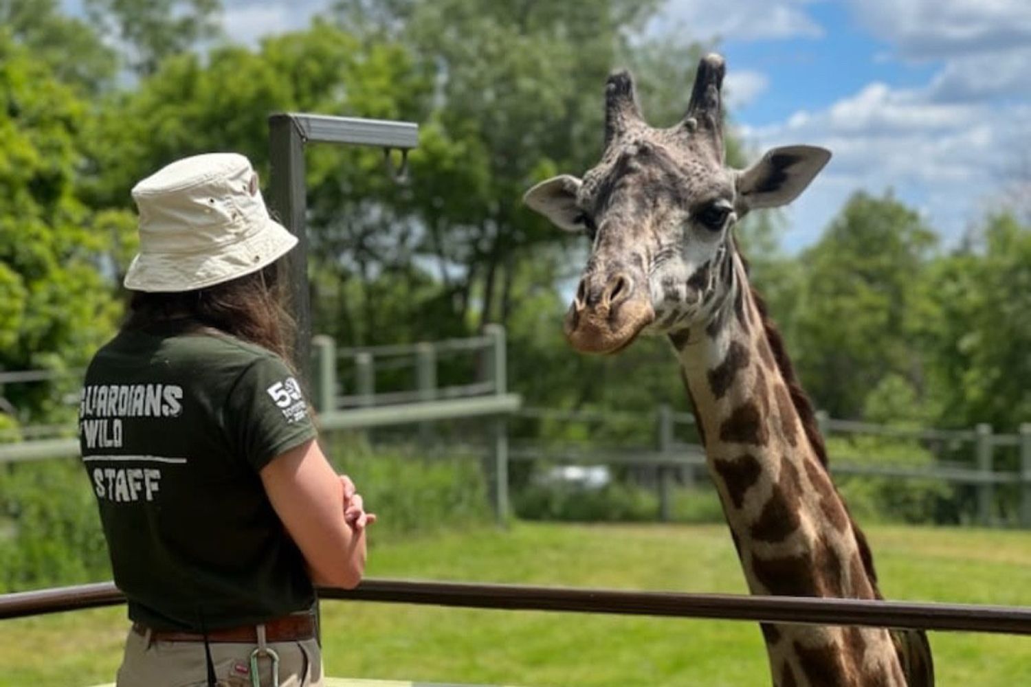 Zoo announces 'sudden and tragic' death of beloved giraffe after fatal ...
