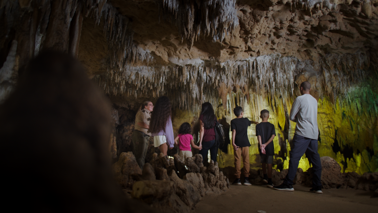 Trade snow for sun-kissed adventures: Your mid-winter escape to Florida