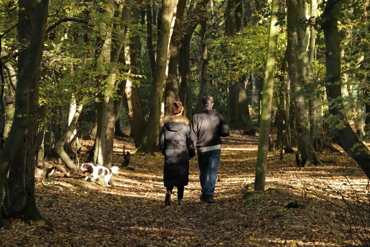 Vacaciones sin ruido: viajes de calma y bienestar mental