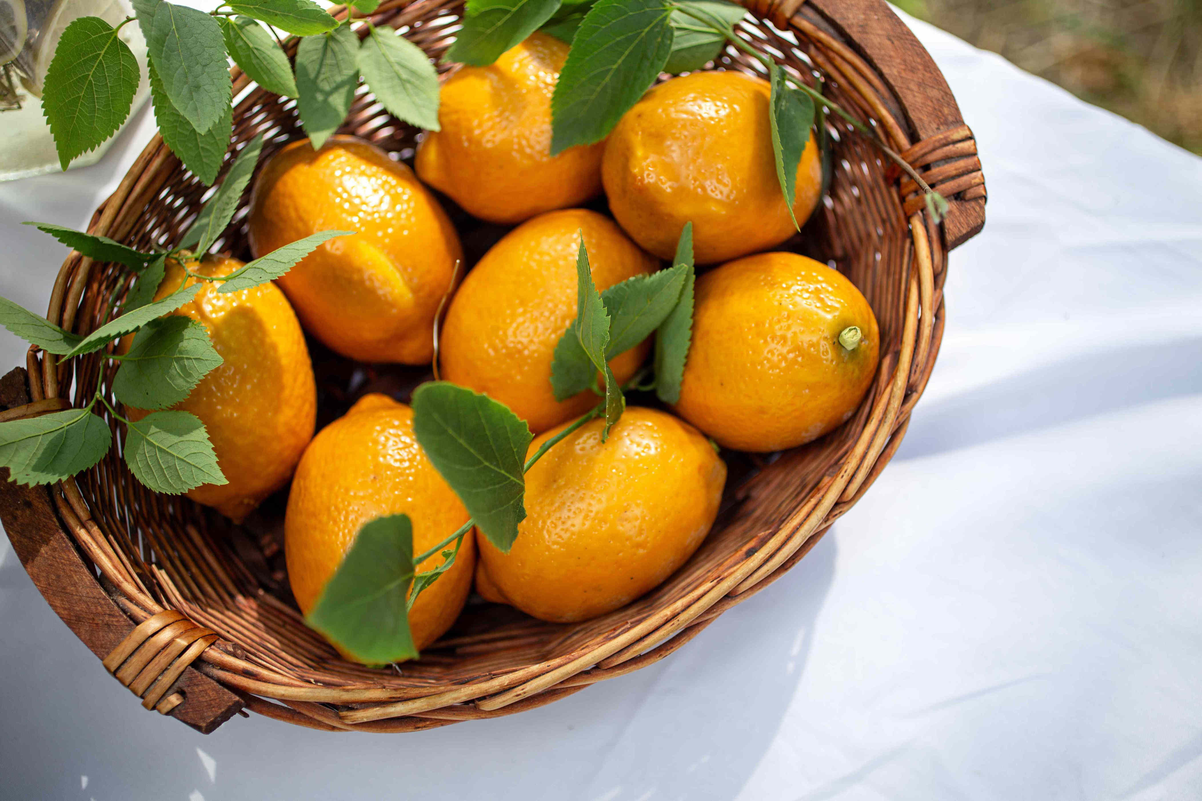 How often to water a Meyer lemon tree for the best quality fruit