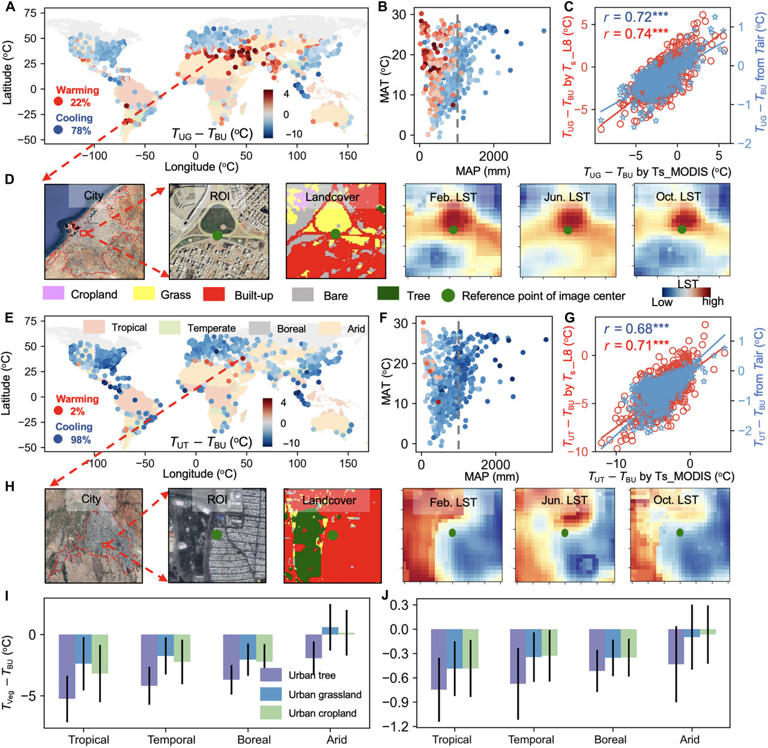 Vegetation might exacerbate urban heat island effect in very dry cities