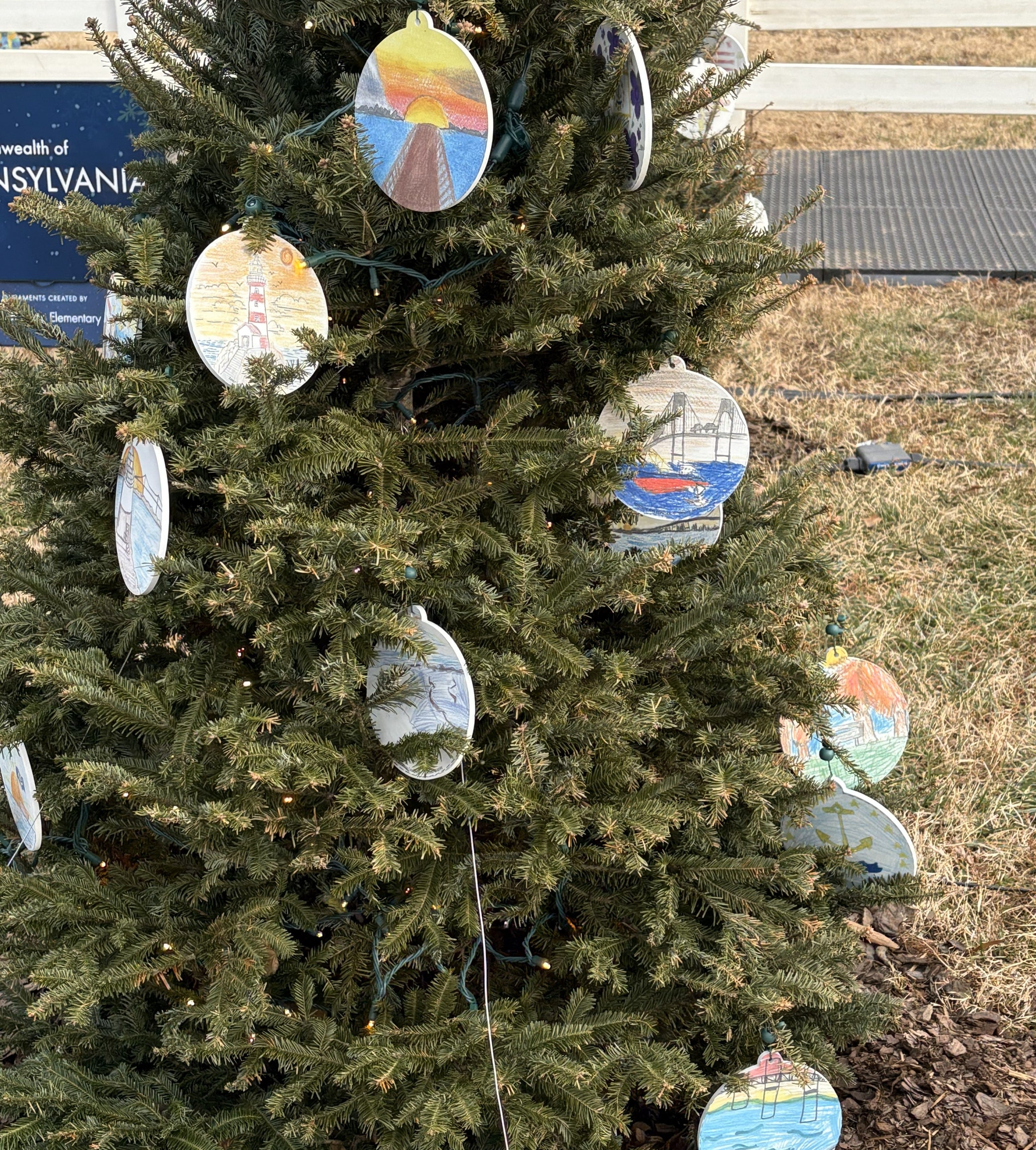 Don’t toss your Christmas trees. They can restore RI trout habitats.