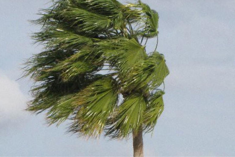 Weather: Strong winds and rain expected in parts of South Africa