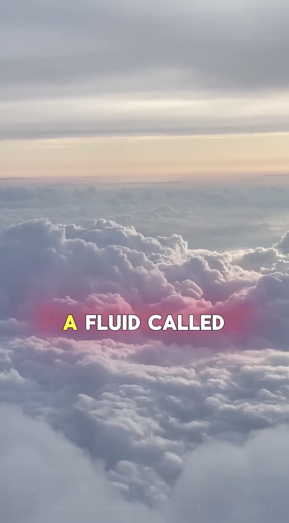 Life hack: How to weigh less? ⚖️