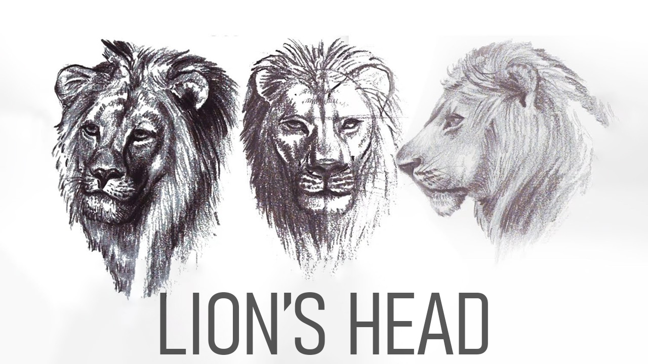 Master lion head drawing using structure and perspective