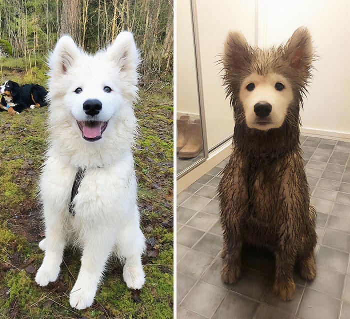 44 times people posted incredibly wholesome before & after pictures online