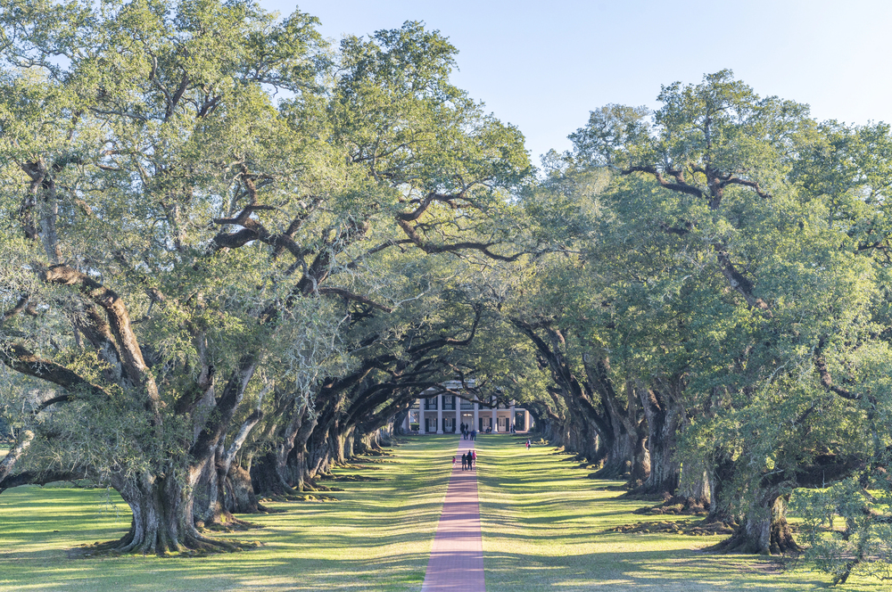 Historic plantations in Louisiana