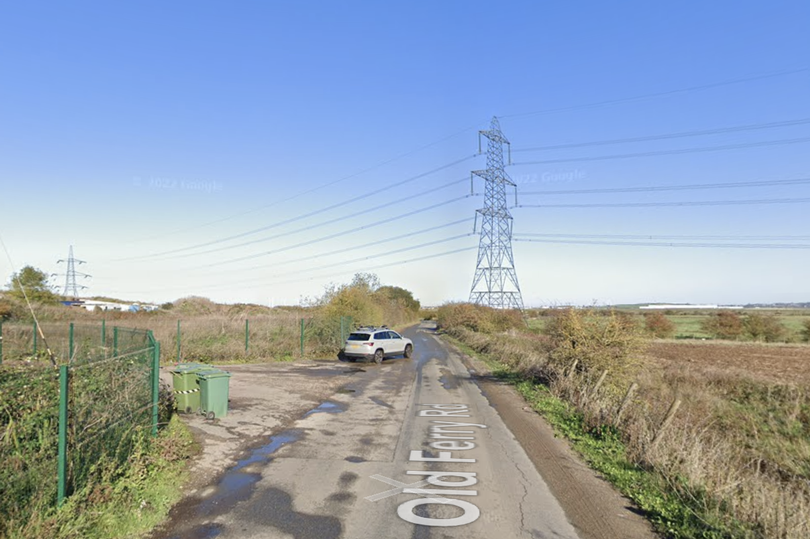 Girl and boy die after horror smash as car 'swerves off country road'