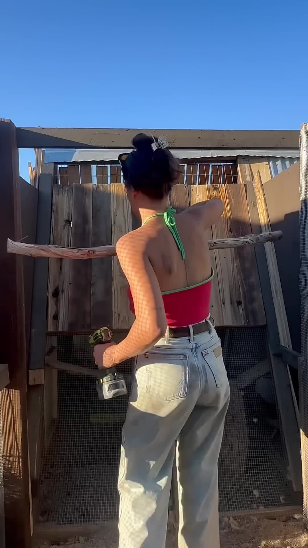 DIY chicken coop makeover magic!