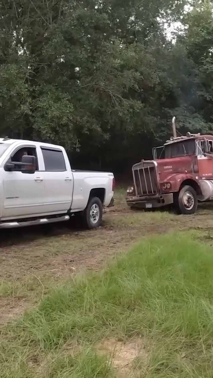 Wiley’s Silverado vs. the KW W900
