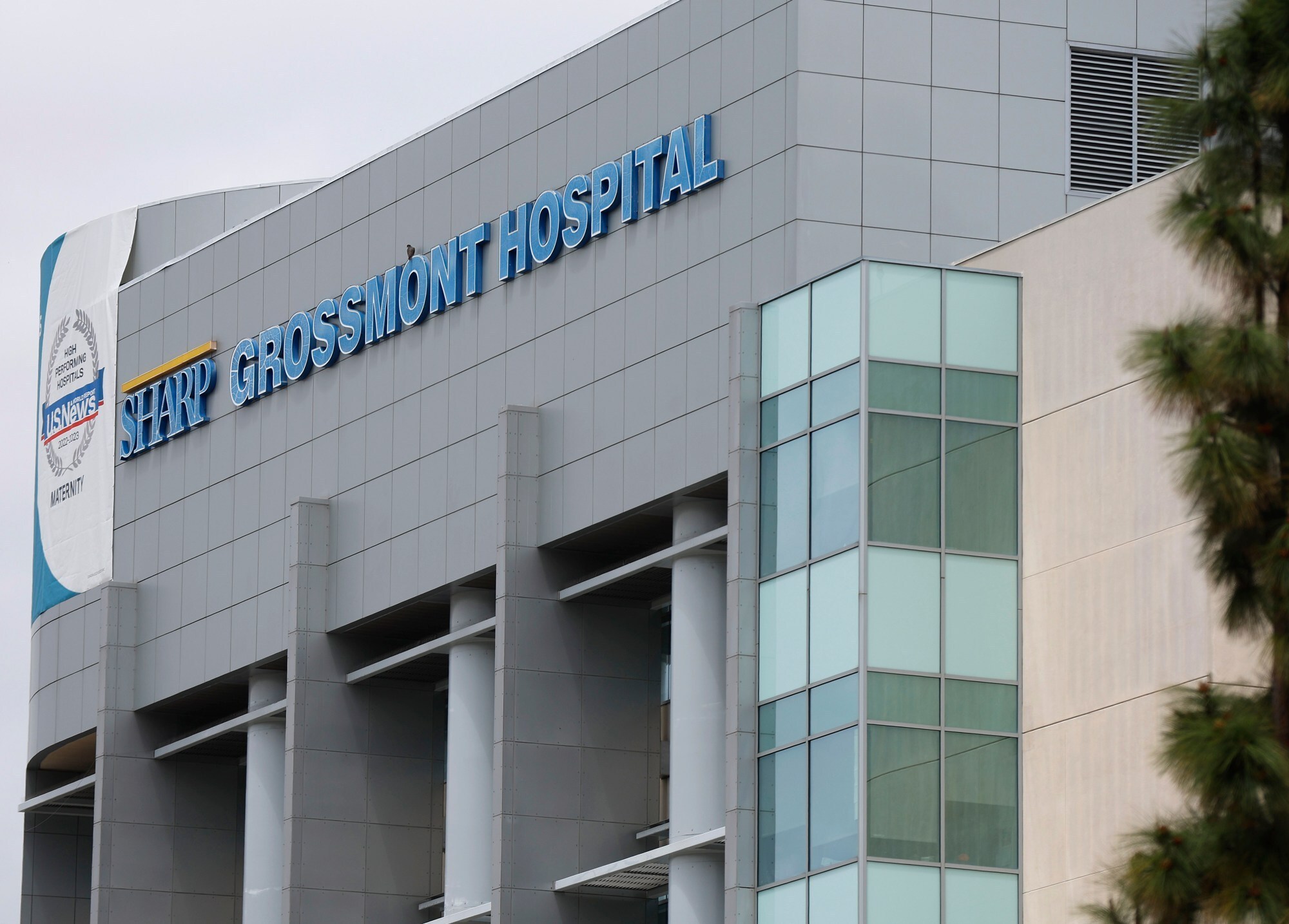 Does AI belong in the exam room? Lawsuit alleges Sharp violated patient ...