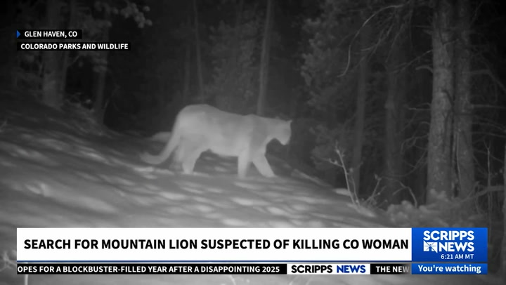 Mountain lion threat leads to trail closure in Glenhaven