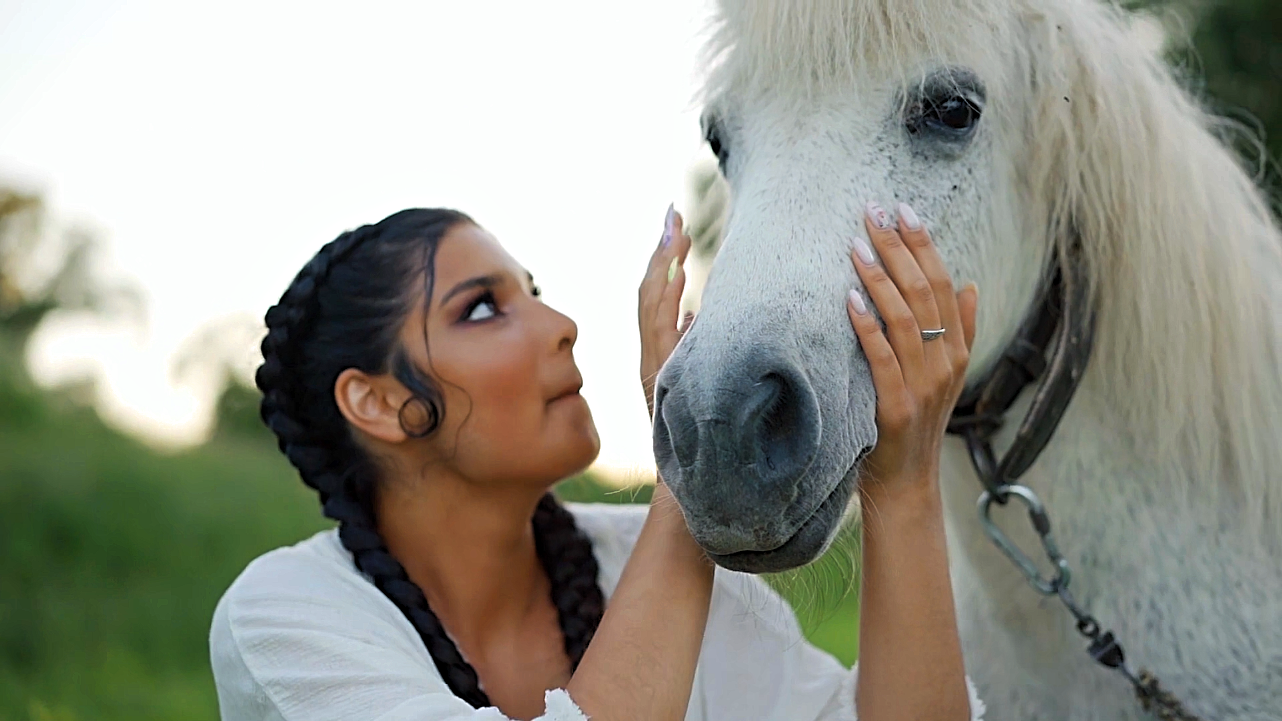A girl shows affection to a horse and gets a rare reaction