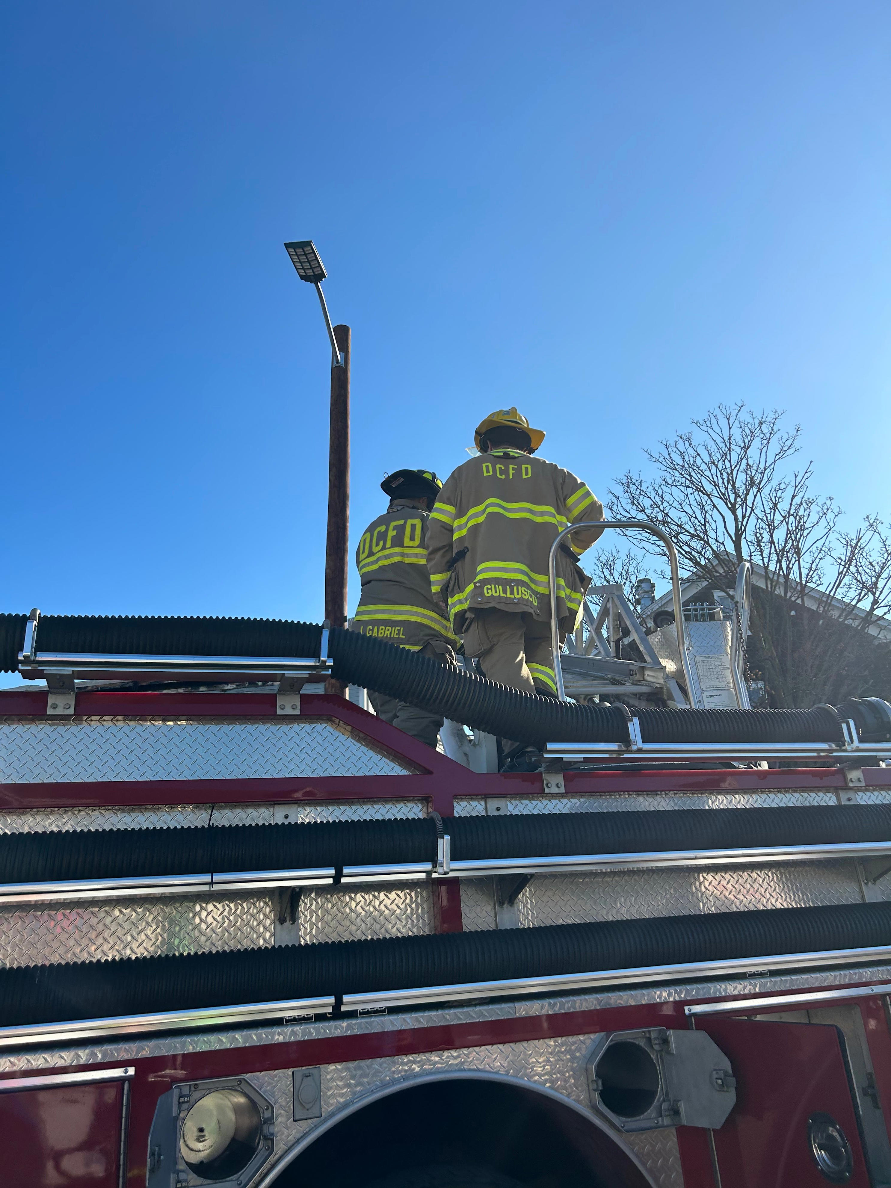 What do you do on Block Island in winter? Sometimes you rescue a cow