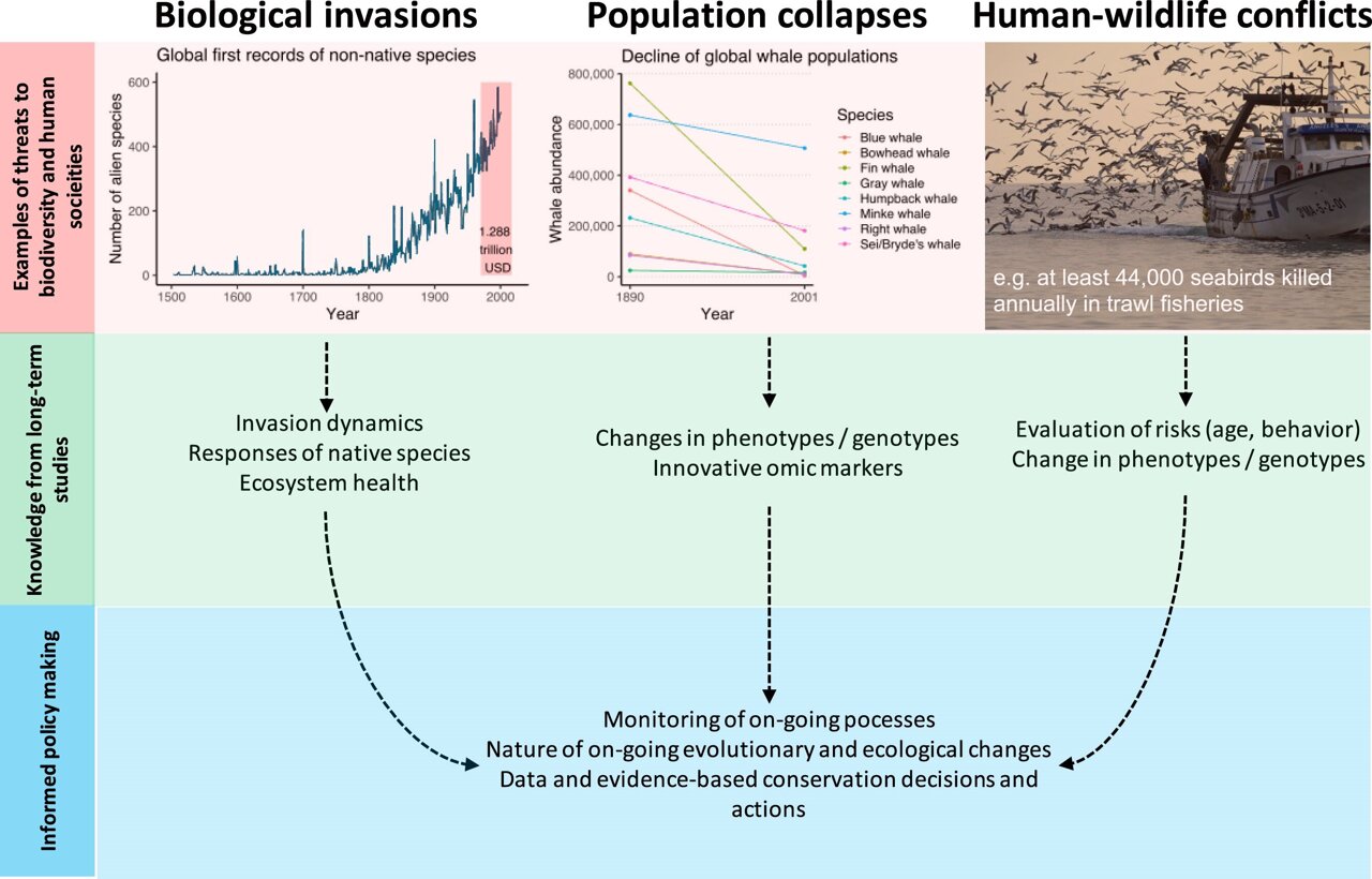 Scientists sound alarm on erosion of long-term environmental data