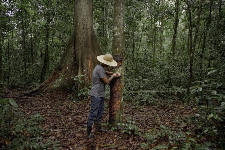 Massive Amazon conservation program pledges to put communities first