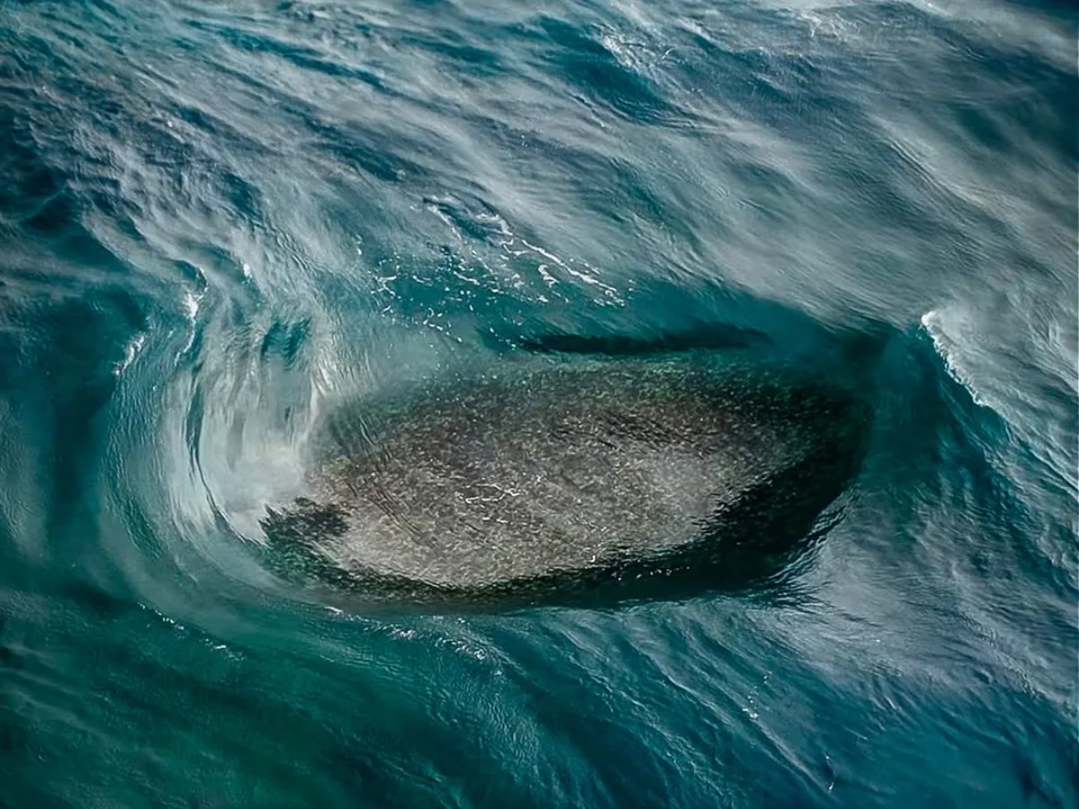 Fenômeno oceânico impressionante mostra quatro ondas se chocando no ...