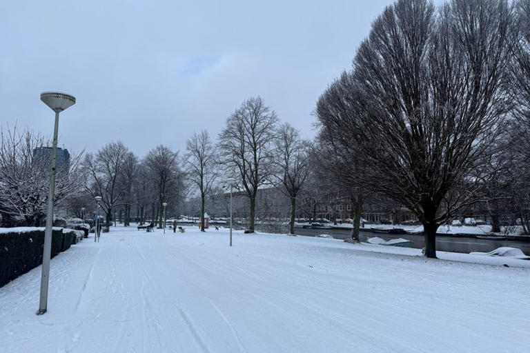 Snow cripples air, train and road traffic in Amsterdam and Paris
