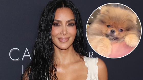 Kim Kardashian shares glimpse at home life with her 4 new puppies