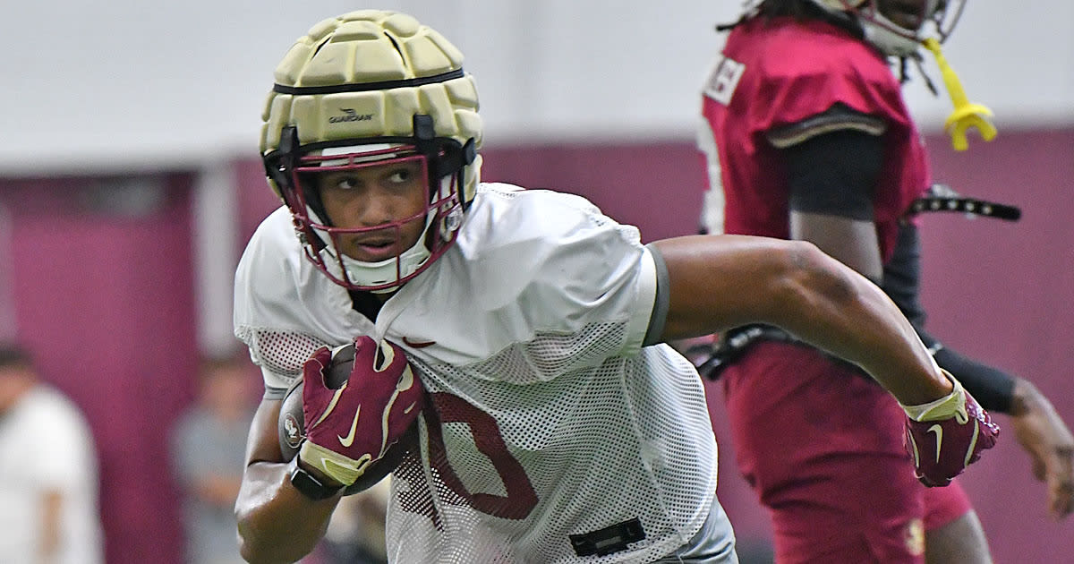 DE/TE Amaree Williams announces plans to leave FSU, enter transfer portal