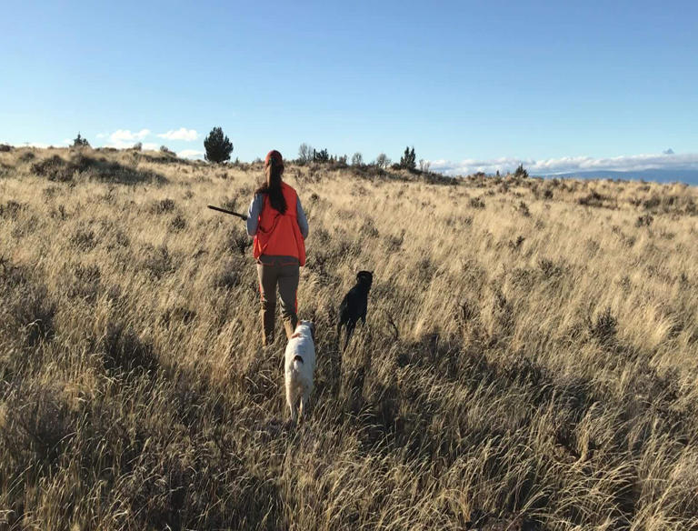 Wild game to dinner table: How to hunt, field dress and cook safely