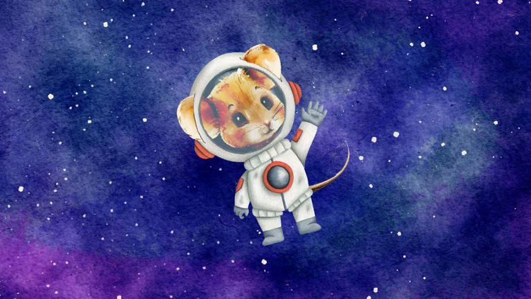 Astronaut mouse delivers 9 pups a month after return to Earth