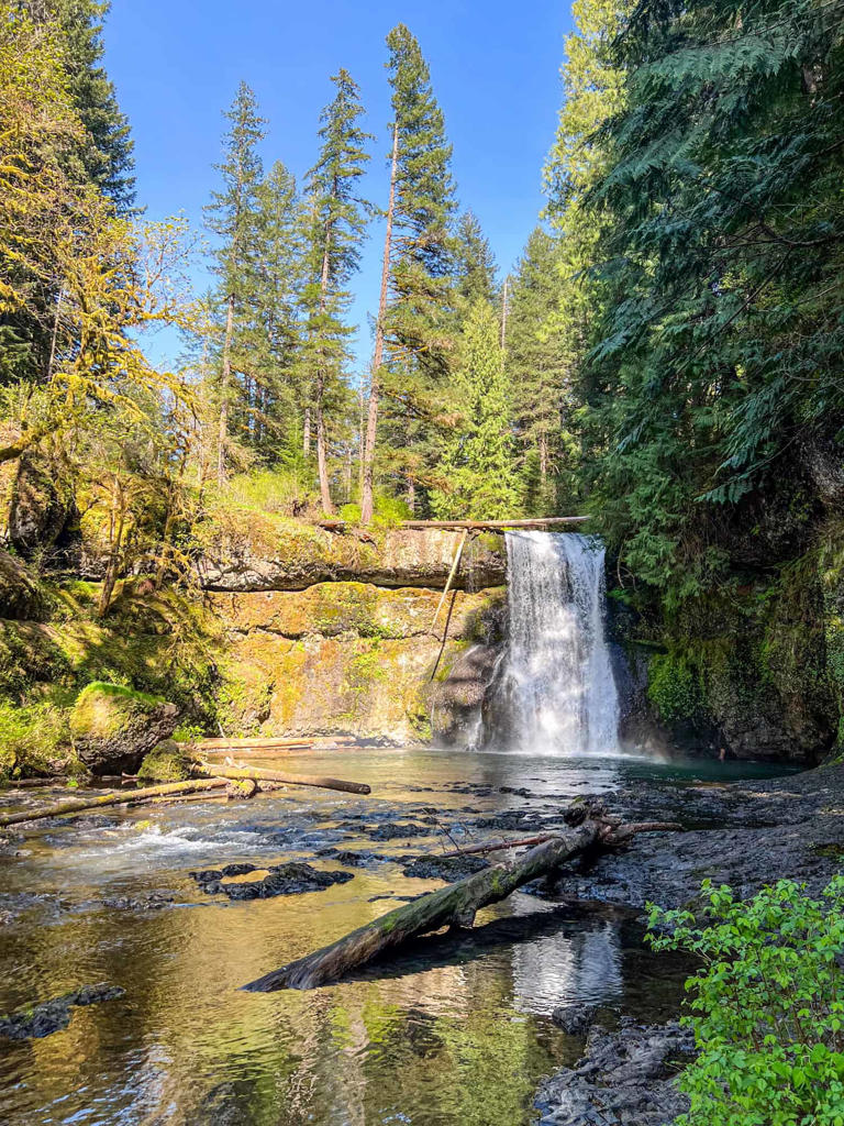How we spent two hours hiking Silver Falls State Park