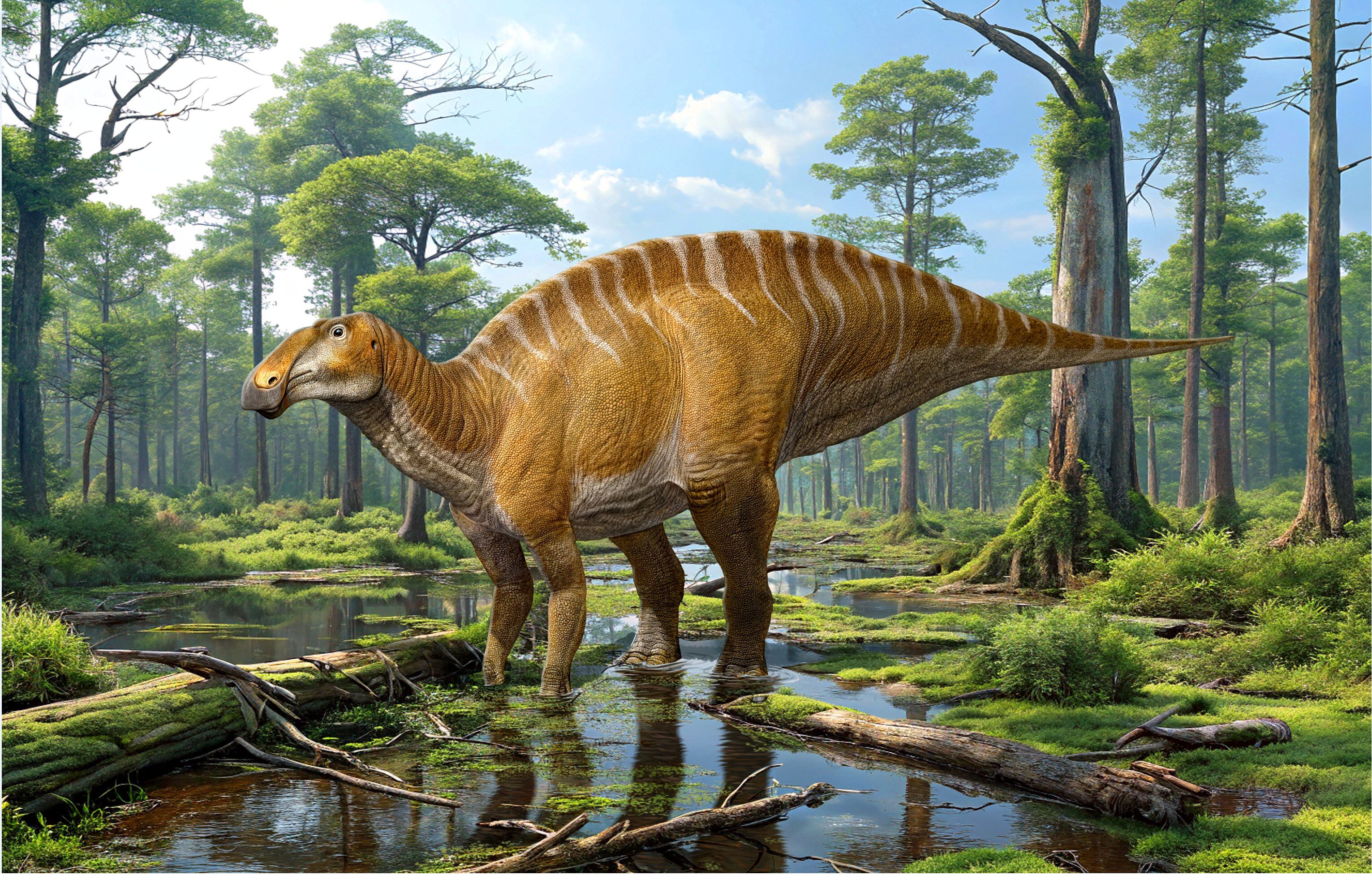 75-million-year-old fossil identified as new 18,000-pound dinosaur ...