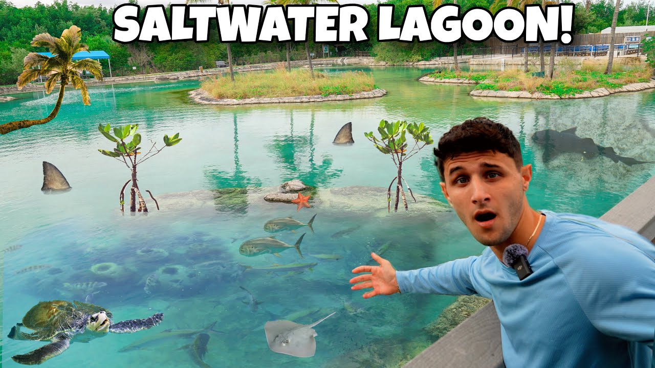 Feeding a 750,000 gallon saltwater lagoon!