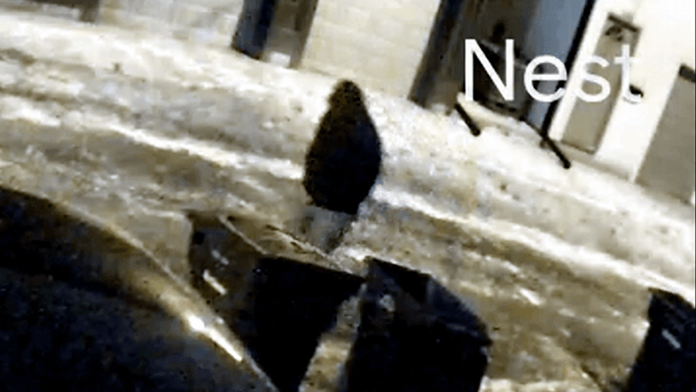 Police release person of interest video in murders of Spencer and ...