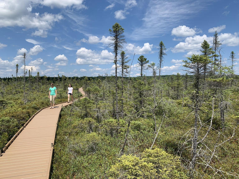 This little-known path might be the best boardwalk trail in Maine