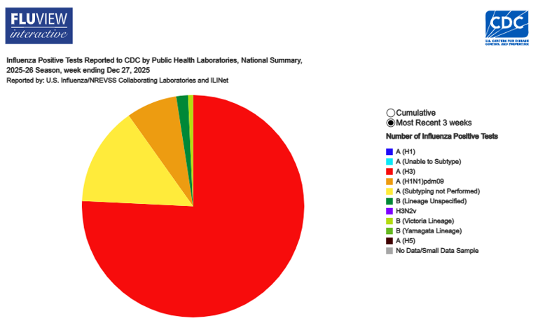 What flu is going around 2026? Flu A, flu B symptoms, differences