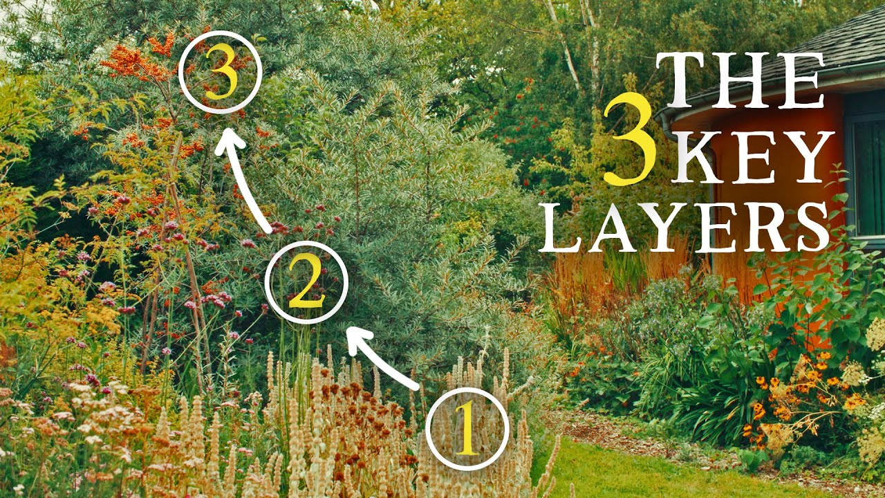 Productive food forests made simple (just 3 layers)