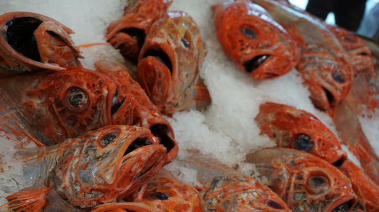 The orange roughy myth you can stop believing