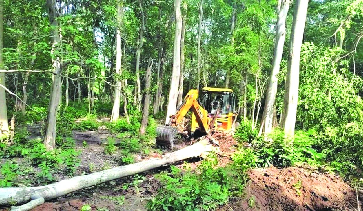 SC asks Uttarakhand government to file report disclosing illegal ...