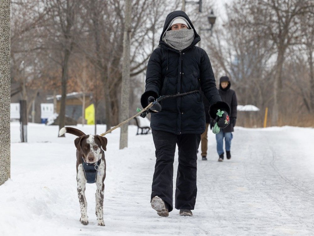 Yes, it's been cold in Montreal this winter, but not abnormally so