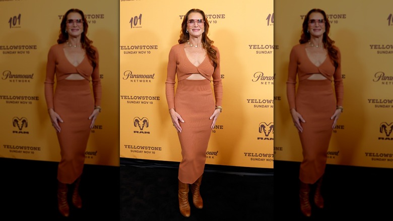 Brooke Shields outfits that totally missed the mark