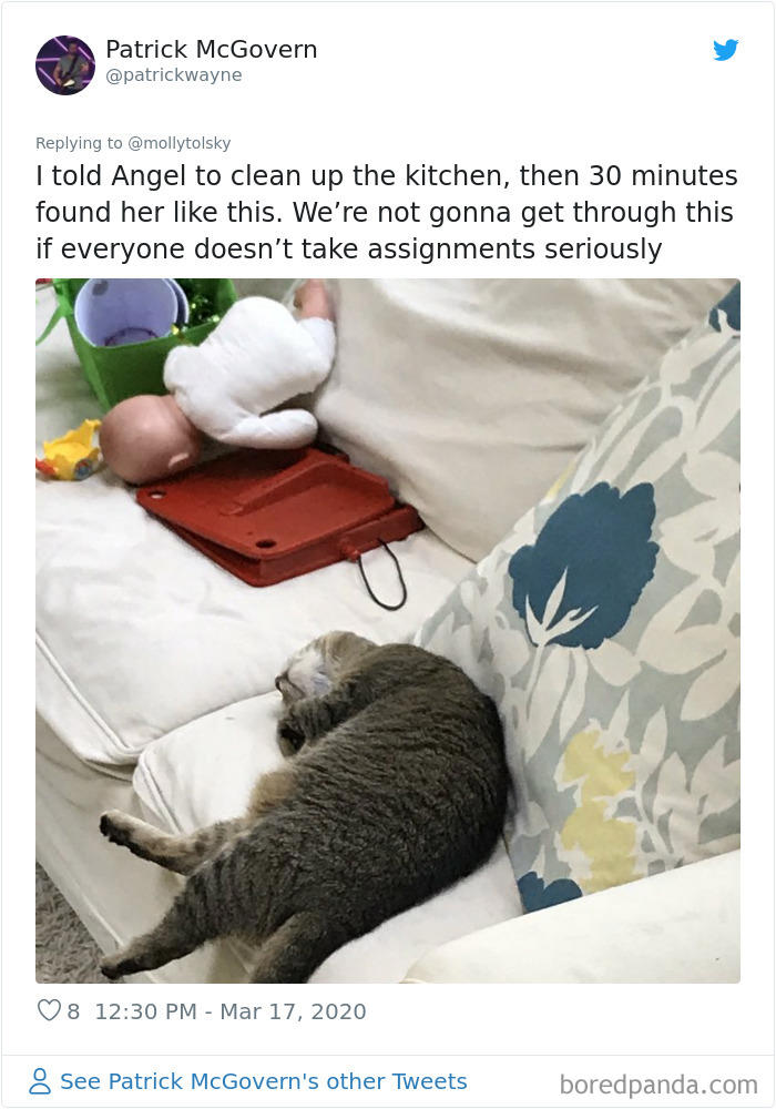 Someone suggests that couples working from home should blame things on ...