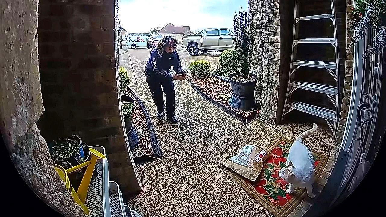 Cat delivers an iconic moment during FedEx driver delivery