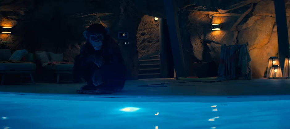 Monkey horror ‘Primate’ has fans already scared, thrilled, and on the ...