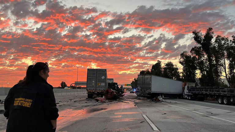 Illegal immigrant trucker accused of causing fatal crash appears in ...