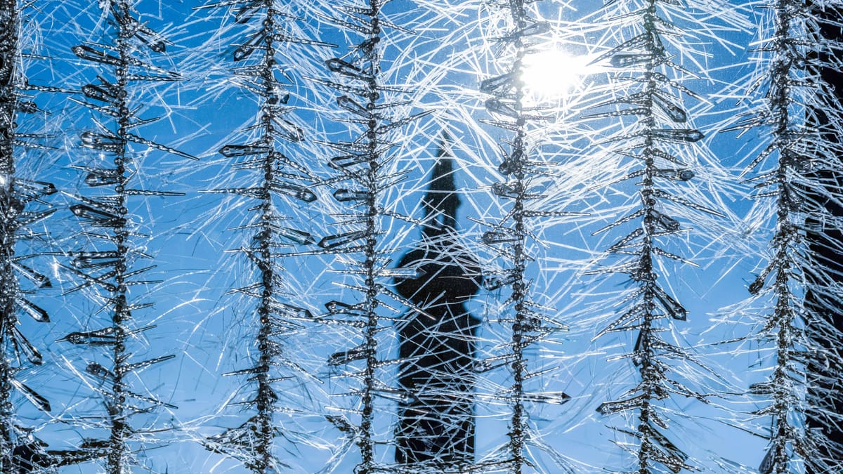 DWD warnt vor Temperaturen bis minus 14 Grad