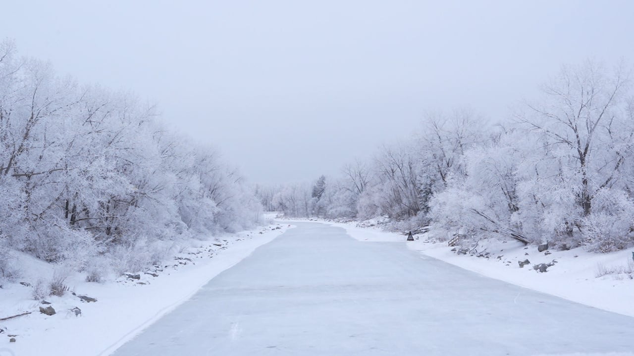 Hoar frost or rime ice? How to spot the difference
