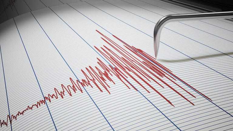 6.2 magnitude earthquake detected in Japan, no tsunami warning issued