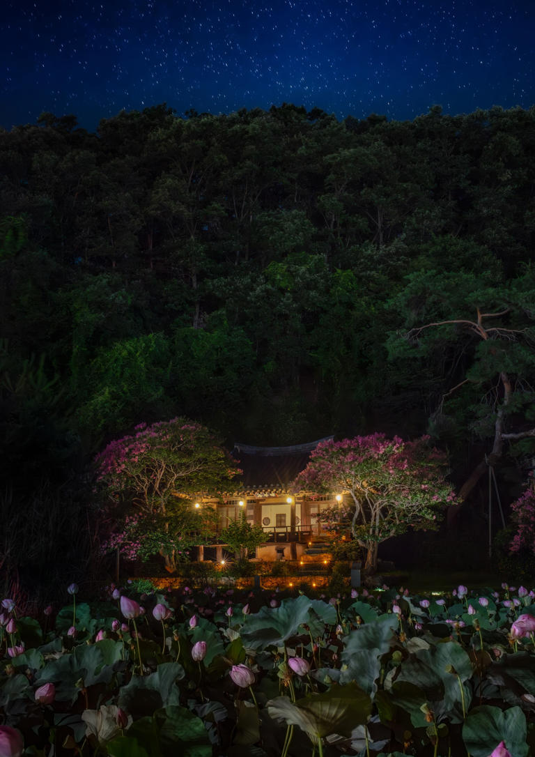 2025's spring, summer, autumn, winter: Turmoil and quiet reflection